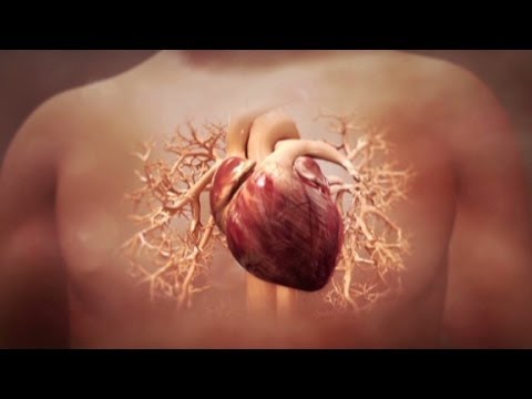 Can heart attack damage be reversed?