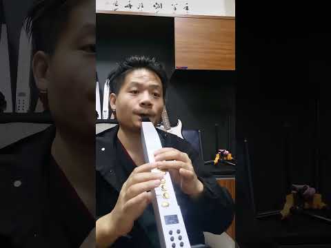 INGPARTNER i8pro EWI Synthesised brass tones playing the Christmas song "Jingle Bells".