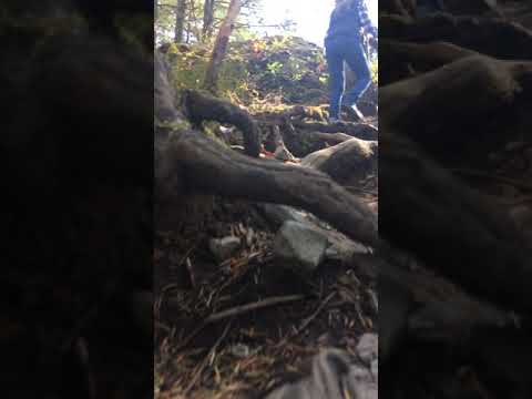 Fall Line Trail with Severe Erosion on MT Work Summit Trail