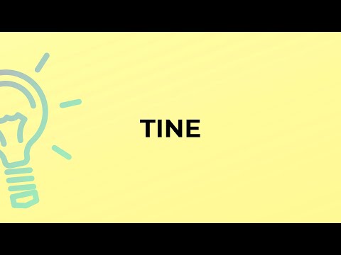 What is the meaning of the word TINE?