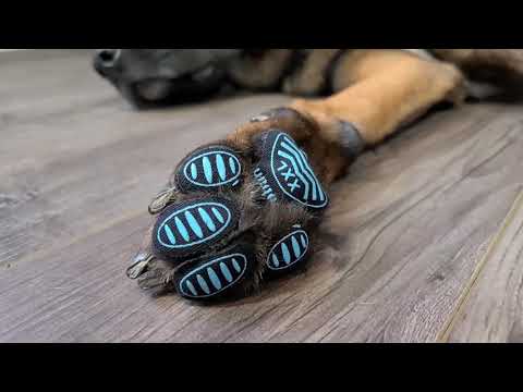 Loobani Dog Paw Pad V2.0 How To Install Instruction