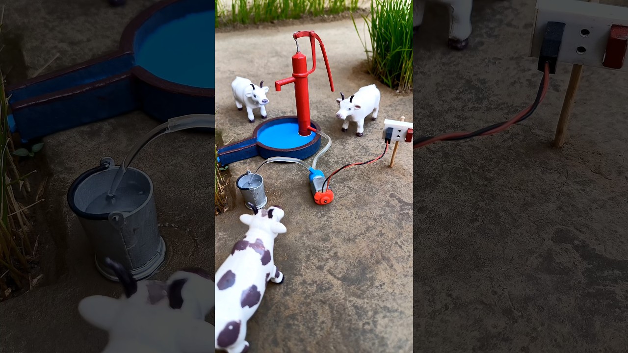 Mini Handpump Water Motor And Cow Video Project