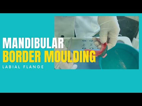 MANDIBULAR BORDER MOULDING - LABIAL FLANGE
