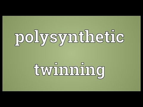 Polysynthetic twinning Meaning