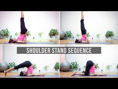 How to do Shoulder stand Sequence | Fans Of Yoga