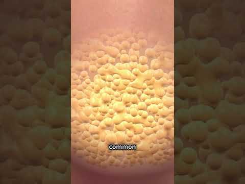 The Secret Life of Fat Cells: Adipocytes #science #biology