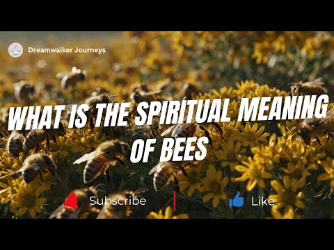 What is The Spiritual Meaning of Bees | Bee Spiritual Meaning