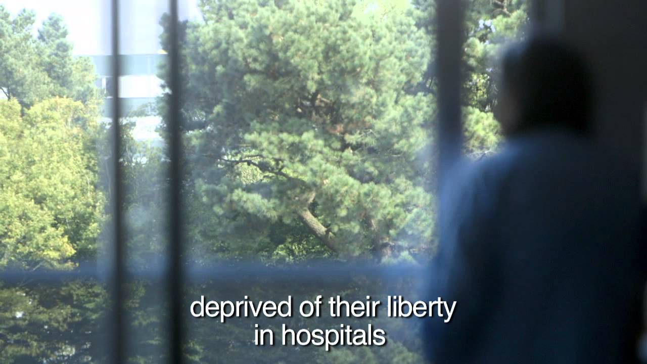 Preventing torture: From an idea to a global reality