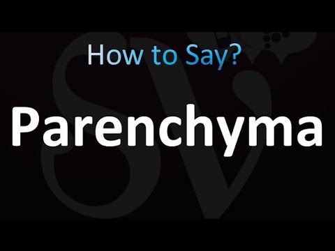 How to Pronounce Parenchyma (correctly!)