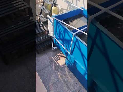 15 KLD STP PLANT