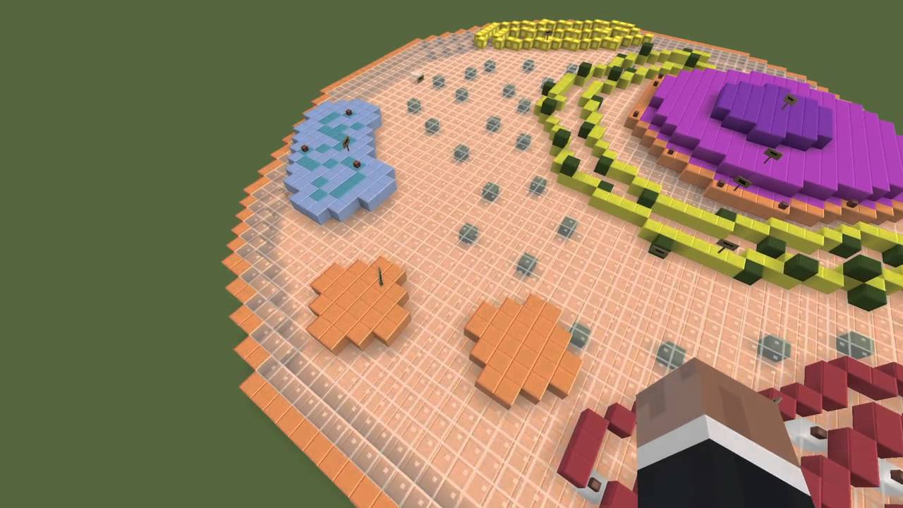 Minecraft Cell Project PTHS