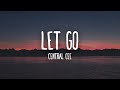 Let Go By Central Cee Watch HD Mp4 Video Download Free