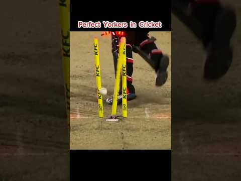 TOP 4 Best Yorker in Cricket History #ipl #Bestyorker #Bumrah #India #Viral
