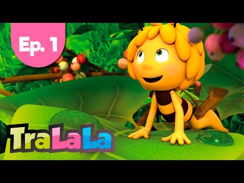 Albinuta Maya - Maya vine pe lume (Episodul 1) - Desene animate | TraLaLa