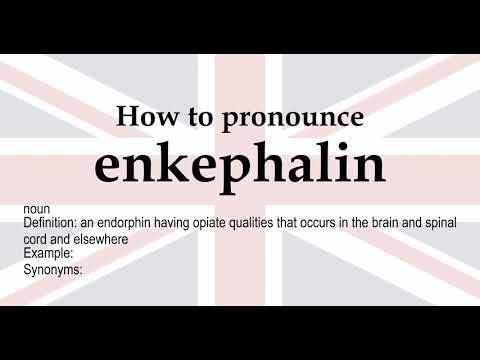 How to pronounce 'enkephalin' + meaning