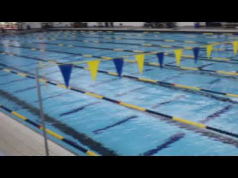 2023 June 29. Michigan Swimming and Diving Facility Don Canham Natatorium