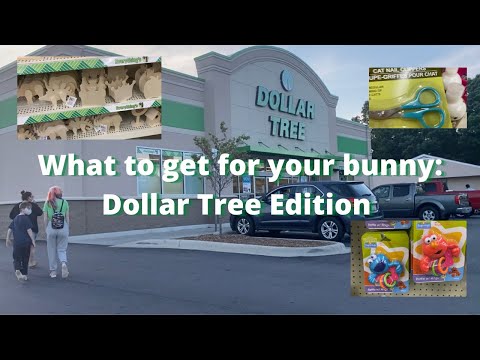 What you can get for your rabbit: Dollar Tree Edition // Dollar Tree Haul