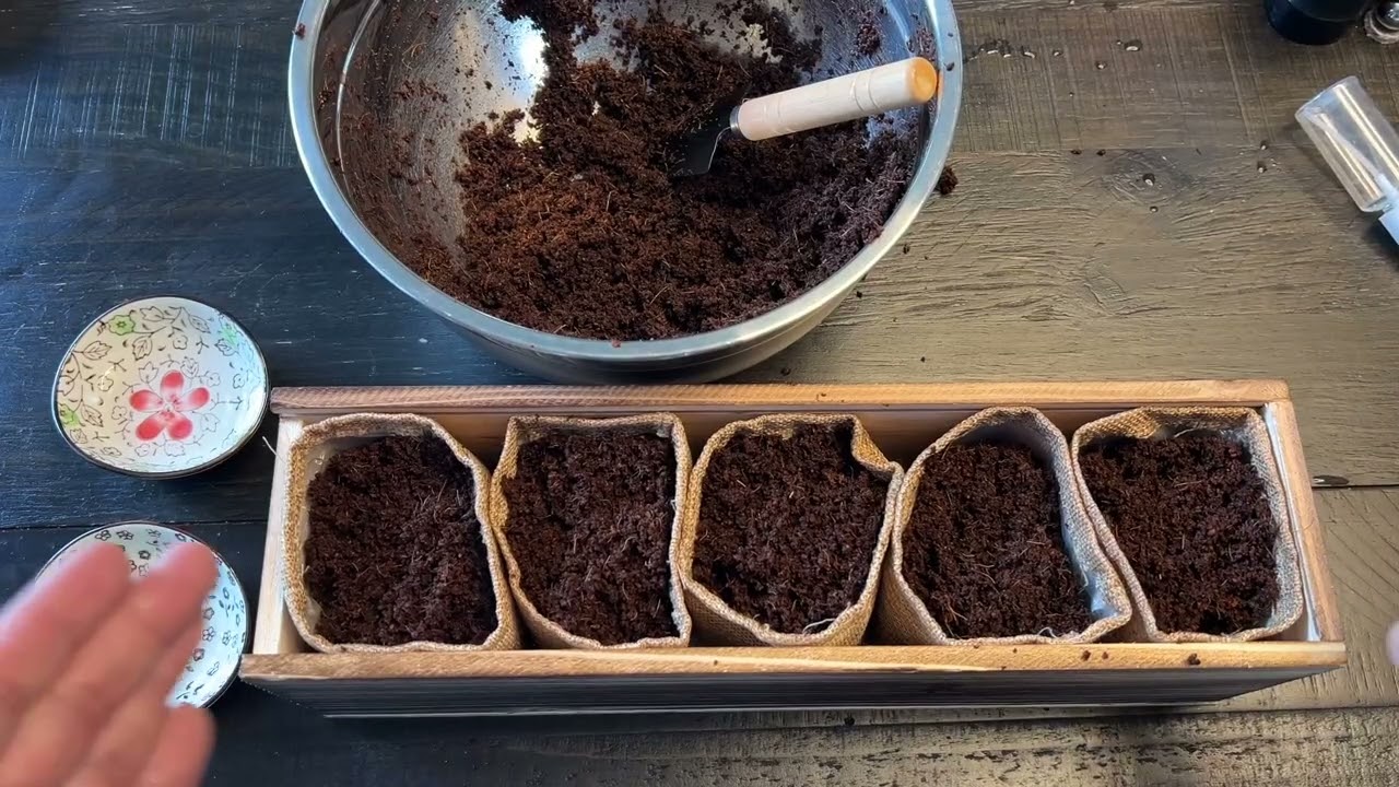 ROOTCRAFT Indoor Herb Garden Kit Review – Grow Fresh Herbs in Your Kitchen! #ad