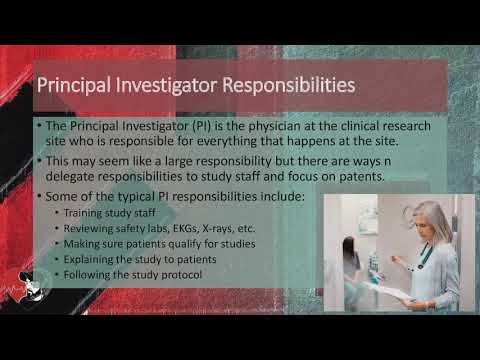 What A Clinical Research Physician Actually Does and Is Responsible For