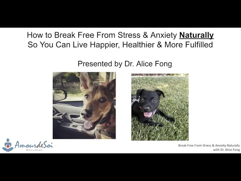 Free Workshop – Dr. Alice Fong