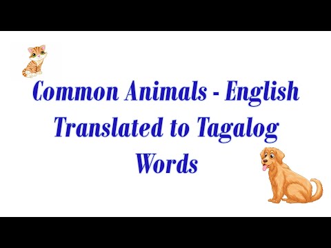 Common Animals - English Translated to Tagalog Words