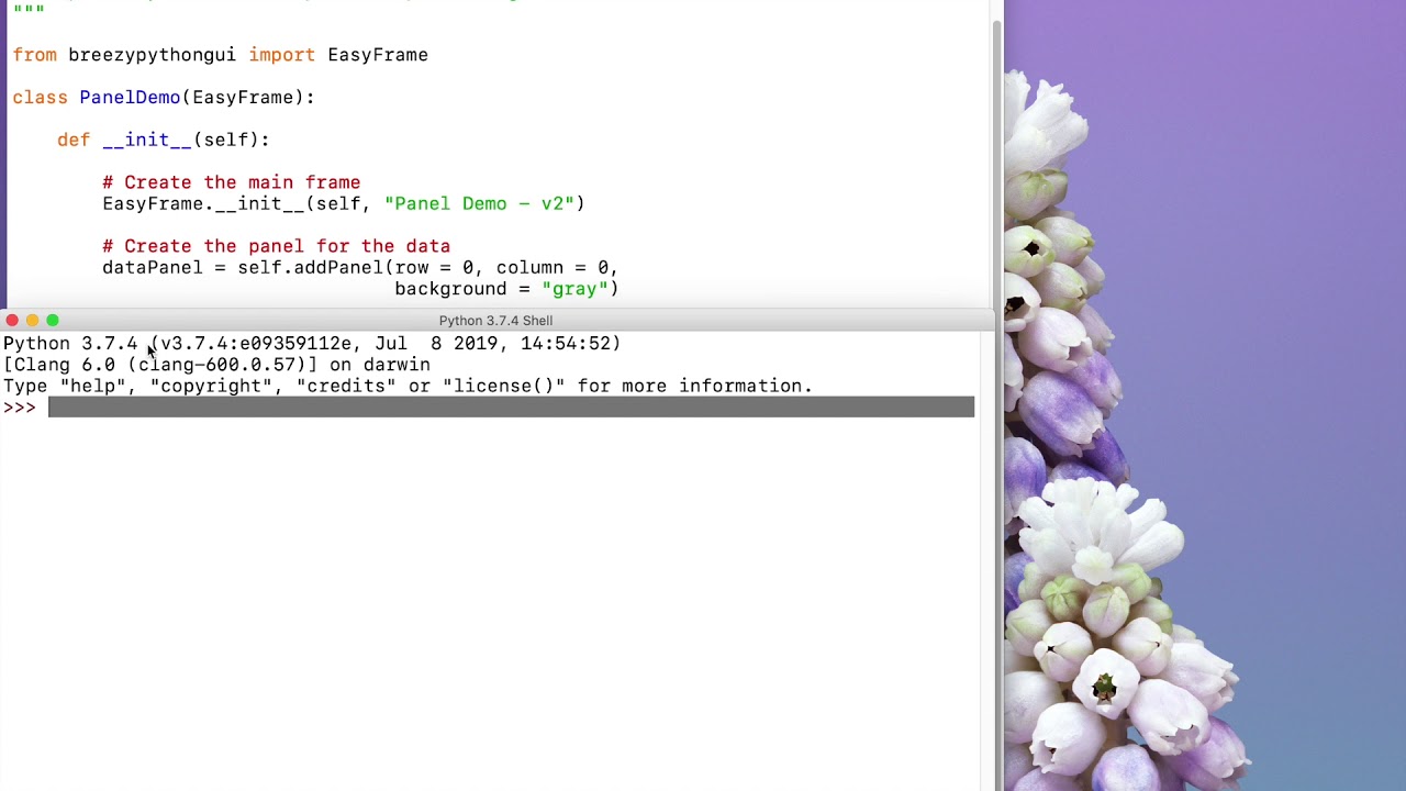 Python08 - Nested Frames