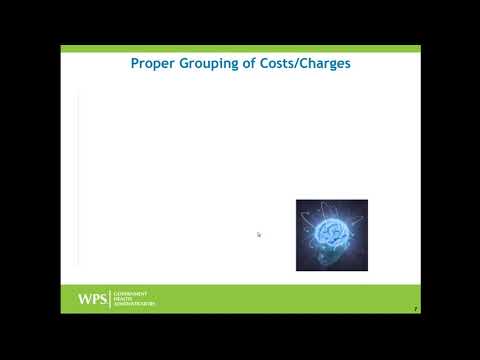 WPS Audit - Cost Assignment and Allocation