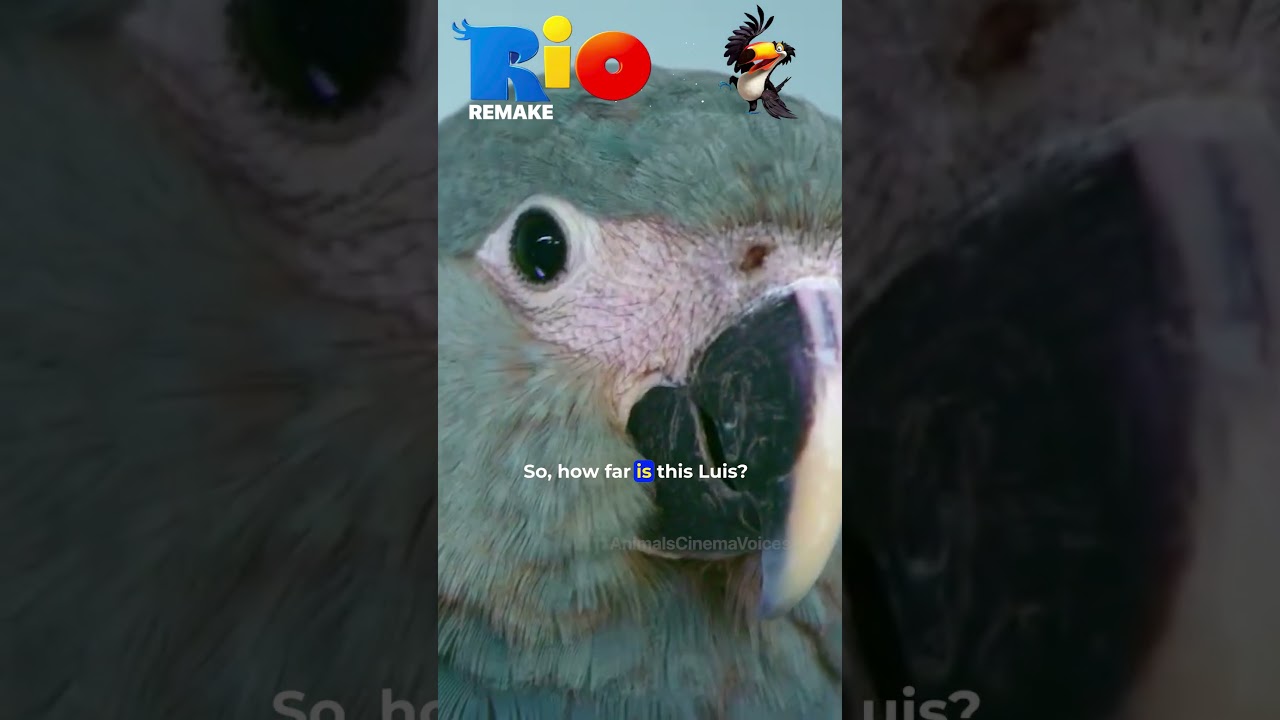 Real Birds of Rio | Remake of the Classic Cartoon! Toucan and a Blue Macaw Parrot, Live Action