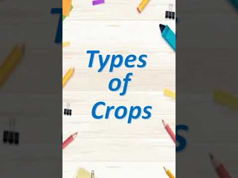 Types of Crops #Shorts #Youtubeshorts #Crop #Kharifcrop #Zaidcrop #Rabicrop