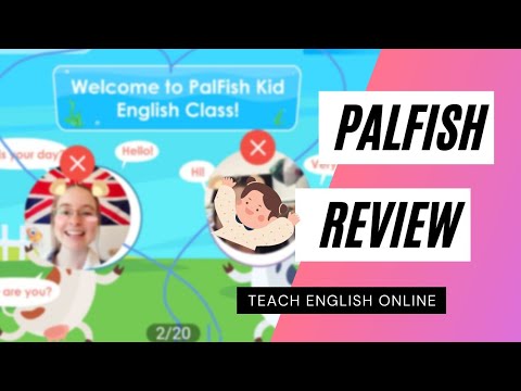 PalFish: Get Hired Guide – Abridge Academy