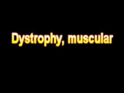 What Is The Definition Of Dystrophy, muscular - Medical Dictionary Free Online