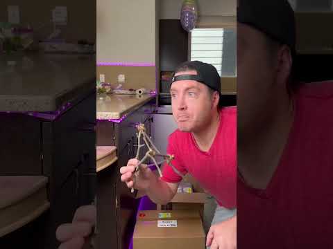 MOVING OUT OF OUR HAUNTED HOUSE (CHECK COMMENTS FOR PART 2) #shorts
