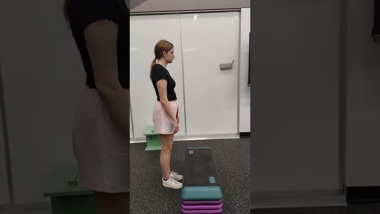 5 minute step test explanation and demonstration