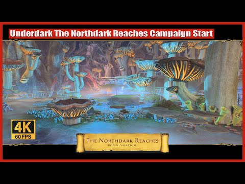 Steam Community :: Video :: Neverwinter 2023 MMO Chronicles Underdark ...