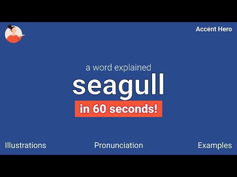SEAGULL - Meaning and Pronunciation