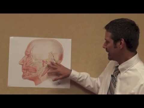 Netter's Atlas: Cranial Nerve VII Discussed by Todd Hoagland