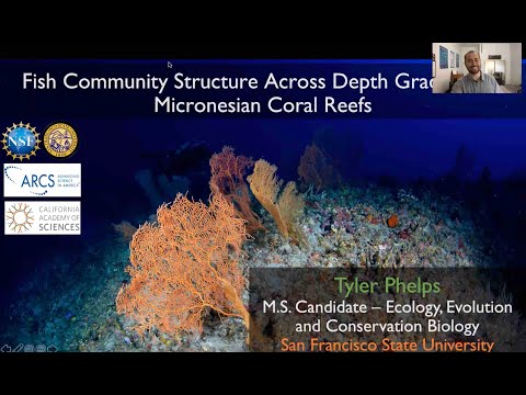 Fish Community Structure Across Depth Gradients in Micronesian Coral Reefs - M.S. Thesis Defense