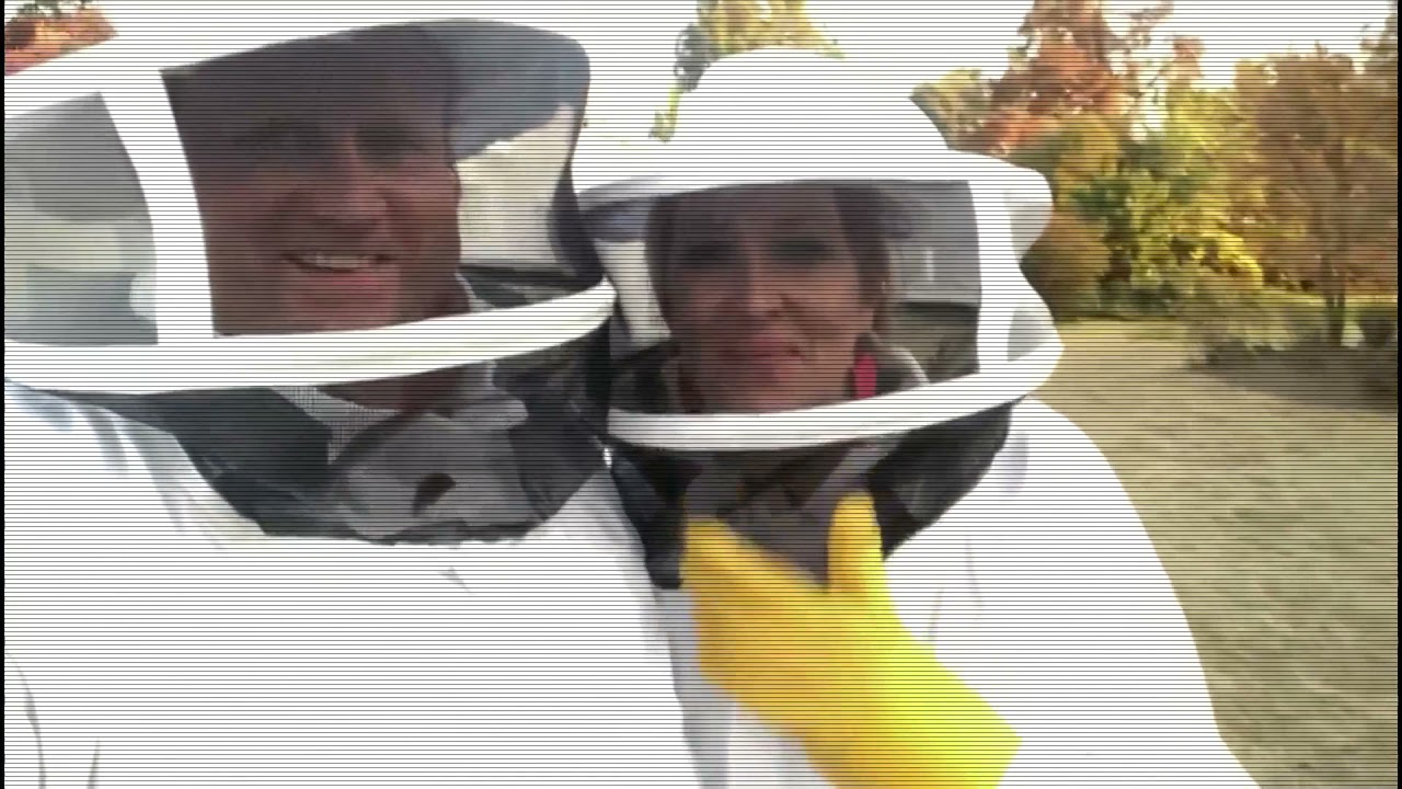 Bee Ware Co | Beekeeping Experience Tour