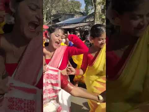 bollyflix highlight