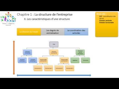 Thème 3 - Chapitre 1 : La structure de l'entreprise