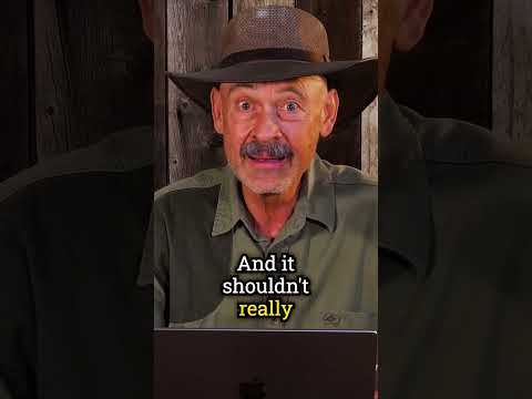 The Best Survival Rifle