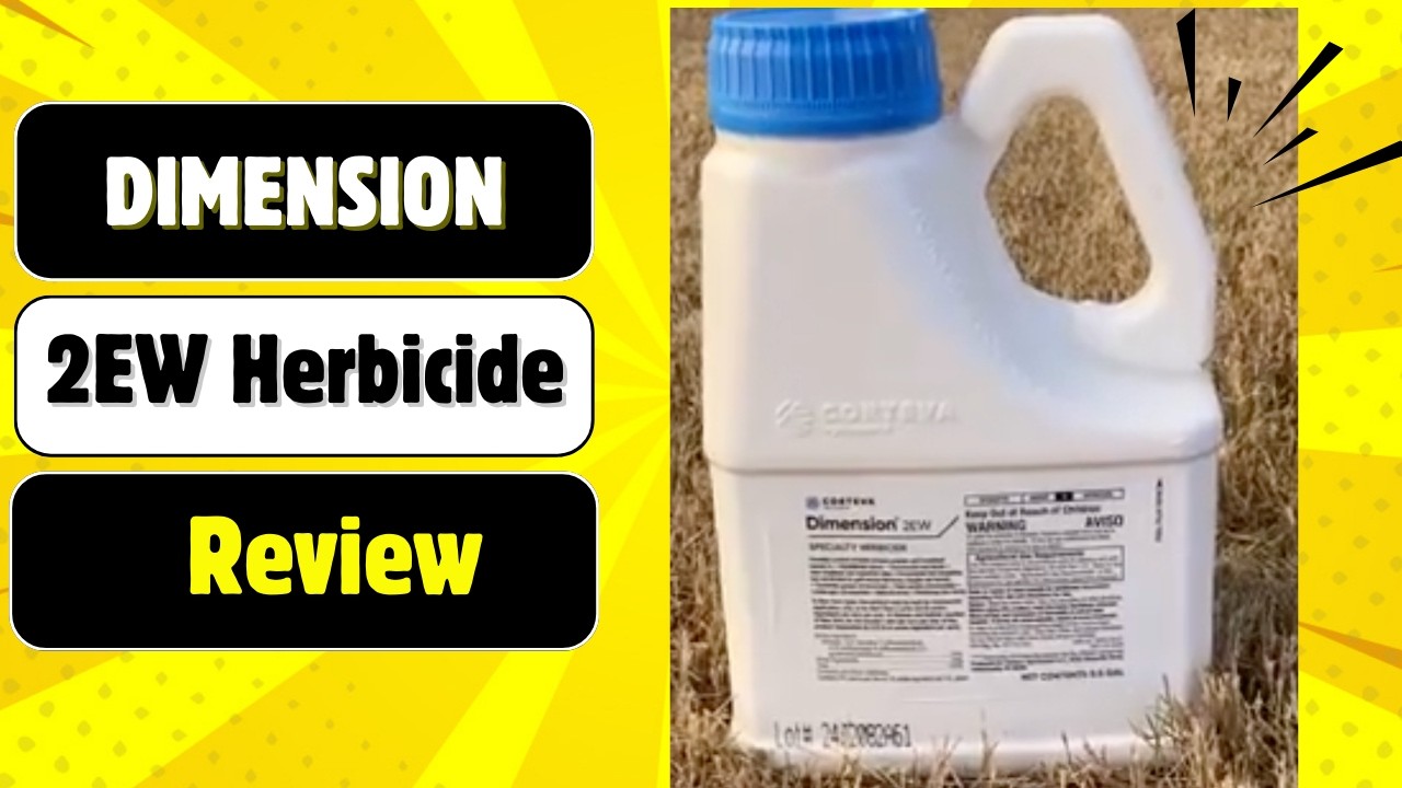 Dimension Herbicide Review | How I Keep My Bermuda Grass Weed-Free