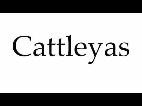 How to Pronounce Cattleyas