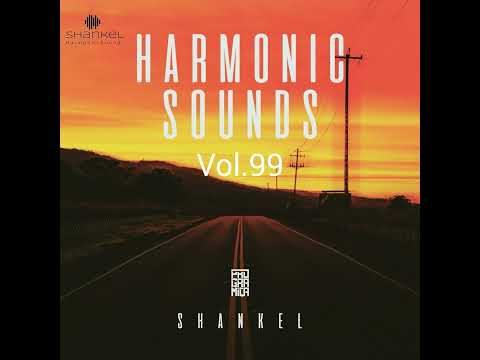DJ.ru Микс: Shankel — Harmonic Sound. Vol.99