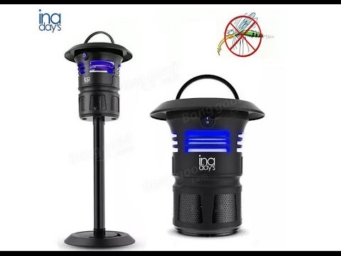 The Several Uses of Digital Fly Killers – My unique blog 6286