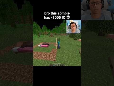 Minecraft Zombie Moment