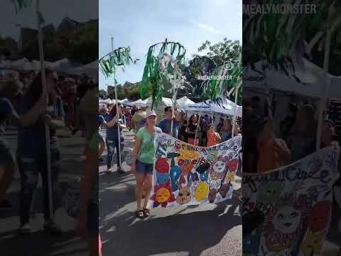 Elmwood art festival 2022.