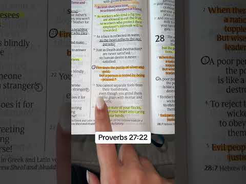 Proverbs 27:22 Add me on Tik Tok & Instagram! @Destinythewonderful #Destiny