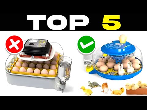 TOP 5 BEST EGG INCUBATORS 2025 | Affordable CHICKEN INCUBATORS on AMAZON