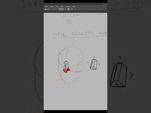 Drawing Nose Anatomy👃